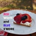 S'mores - 7 Recipe Variations! - GrandparentsPlus.comGrandparentsPlus.com