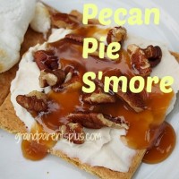 S'mores - 7 Recipe Variations! - GrandparentsPlus.comGrandparentsPlus.com